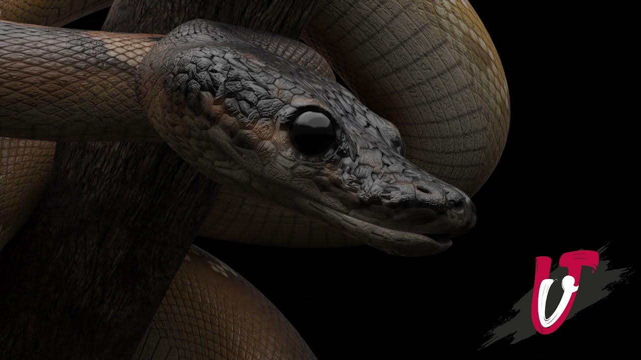 Ball Python Animation 3D