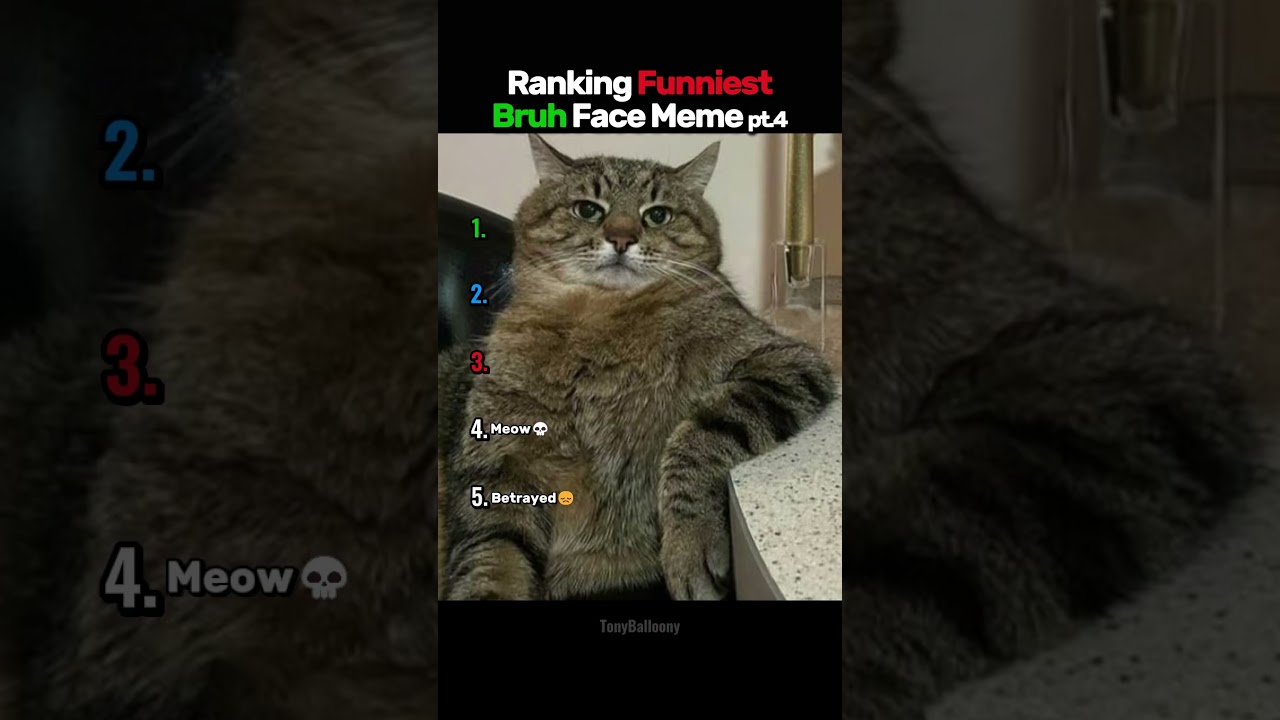 Ranking Funniest Bruh Face Meme pt.4