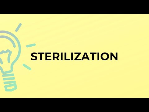 What is the meaning of the word STERILIZATION?