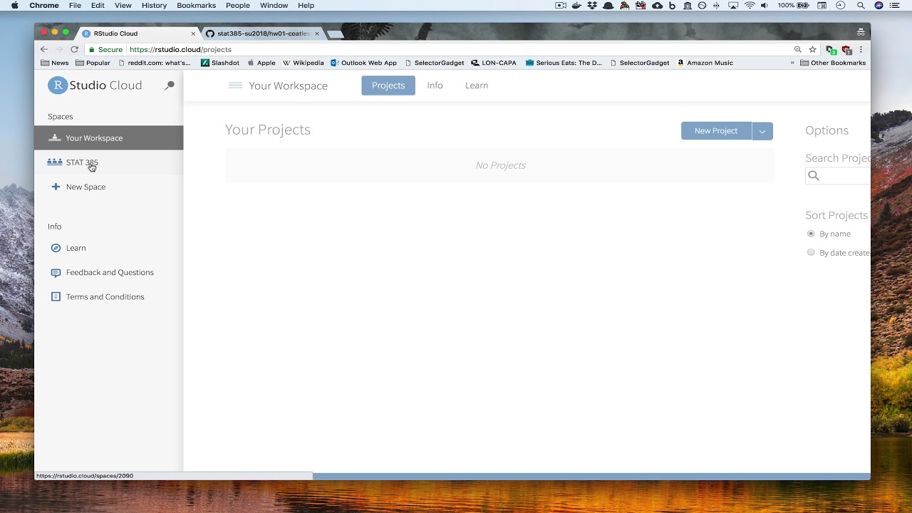 STAT 385 SU18: Cloning a Repository from GitHub into RStudio Cloud