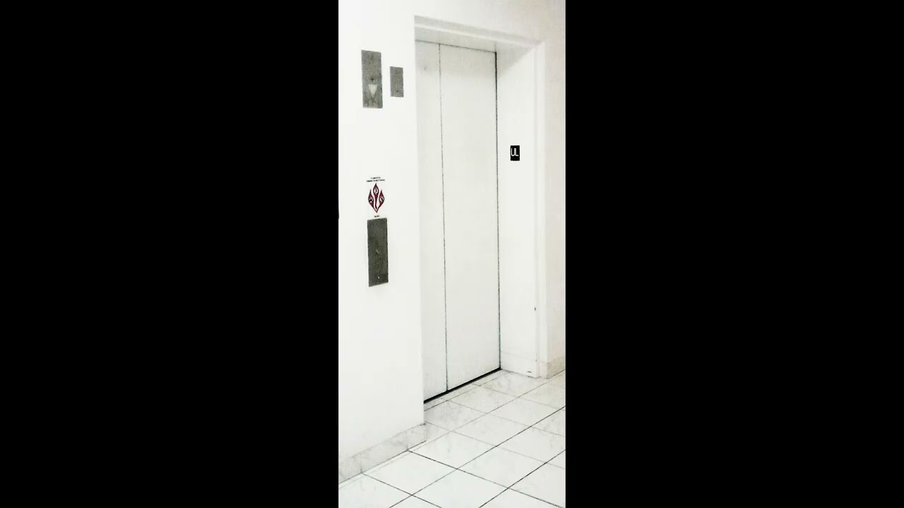 Backrooms Explained - Level 365 