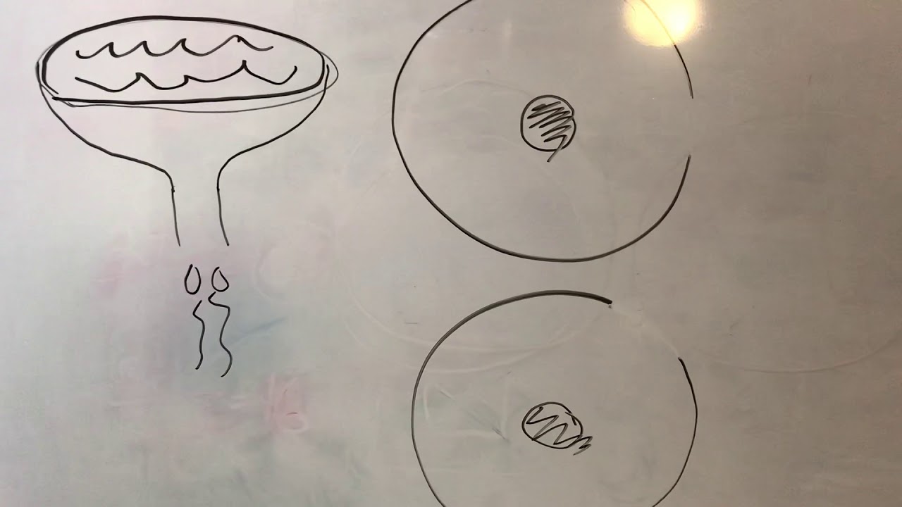 🤔 Nature’s Mystery: Cuvilinear pressure & Vortex dynamics