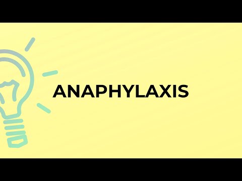 What is the meaning of the word ANAPHYLAXIS?