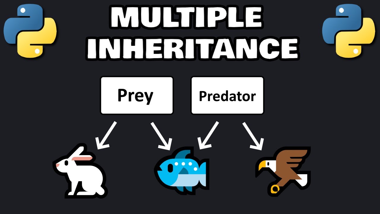 Learn Python multiple inheritance in 8 minutes! 🐟