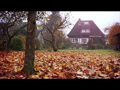 Tiny Home Plans Under 1,000 Square Feet | Southern Living