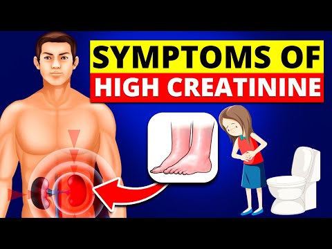 What Are The Symptoms of High Creatinine?