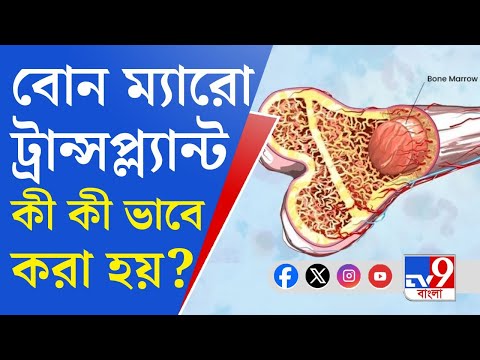 Bone Marrow Transplant: শরীরের রক্তকণিকা তৈরি করে অস্থিমজ্জা!