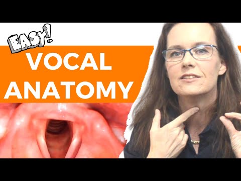 New Video: Vocal Anatomy for Singers: Laryngeal Anatomy – Advice For ...