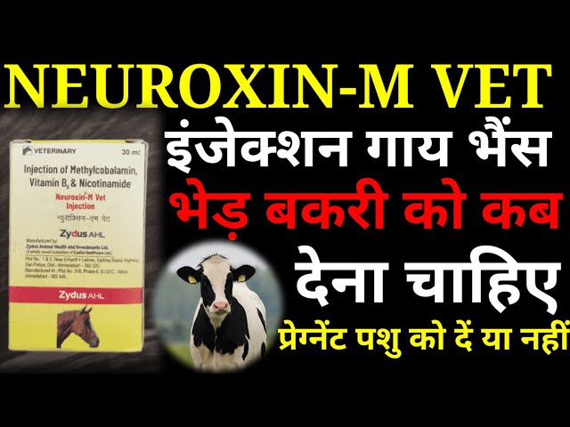 Veterinary Medicines injections tablets - Vimeral Pets Liquid ...