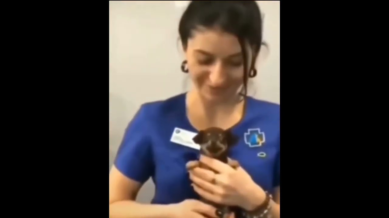 perrito feliz💖