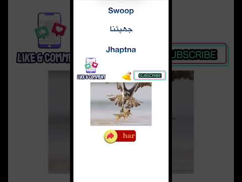 Swoop pronounciation & means in Urdu & Hindi|jhaptna means in English@H2sev