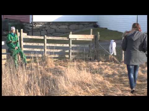 Film: eg står her og skal slå opp me ei jente | Elisabeth Sund