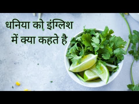 धनिया को इंग्लिश में क्या कहते है ! Dhaniya ko english me kya khete hai