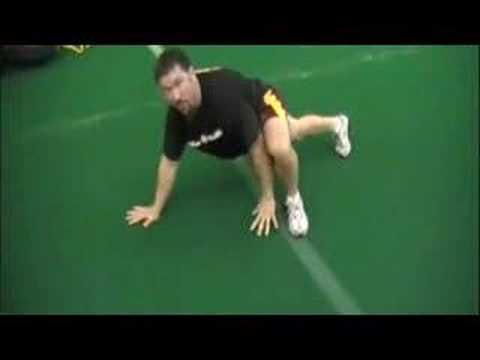 Tiger Crawl | Warrior Club