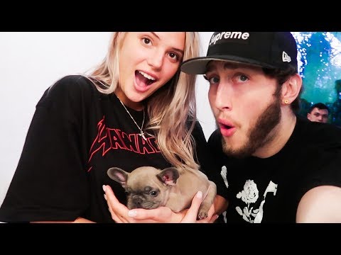 FaZe Banks (Ricky Banks) Wiki