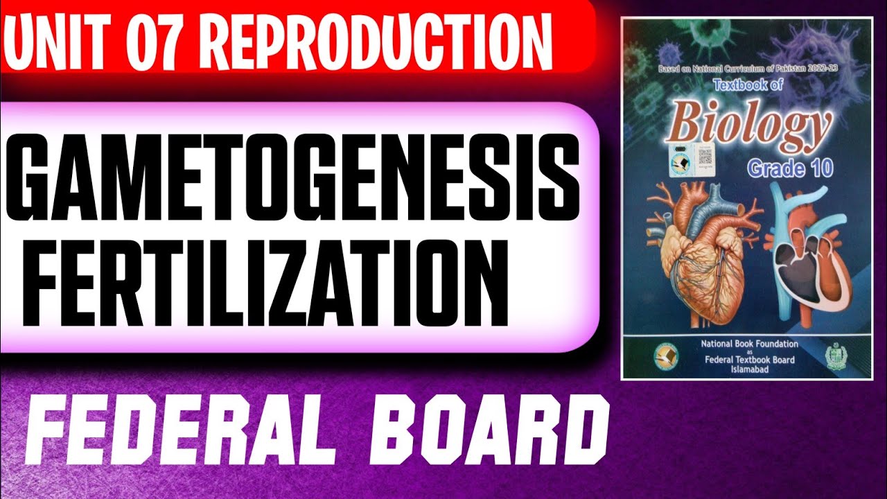 Gametogenesis and Fertilization | Class 10 Biology | Chapter 6 Reproduction | Federal Board