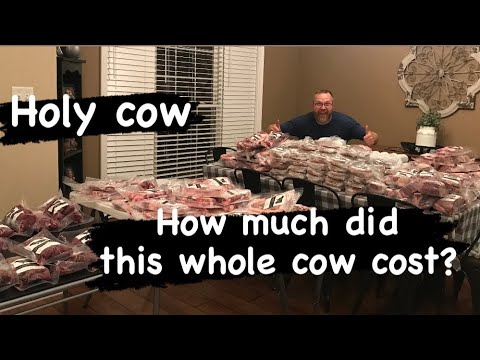How much for a Whole Cow // Is it worth it // Local Farm Raised Beef #beef #homesteading #localfood