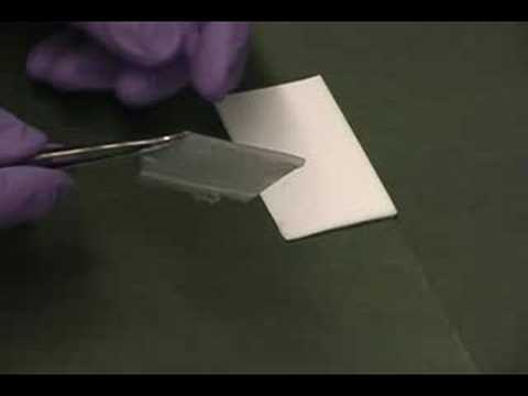 MIT creates new material for fuel cells