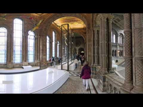 London 40 360 Natural History Mus 2 Main Hall