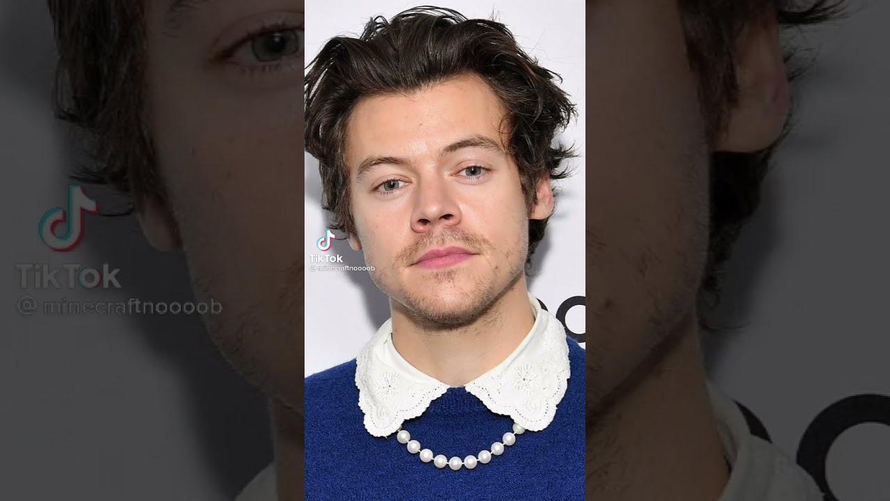 The Skinny Filter On Celebrity Harry Styles