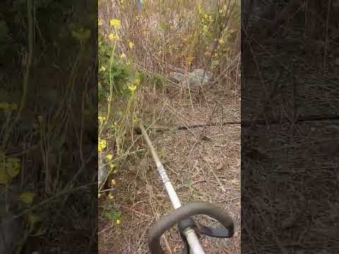 weed abatement
