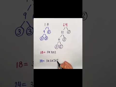 Why Did We Use Factor Trees in Math?🎄