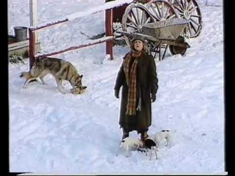 Heartbeat Changing Places – Nick Berry | The Inquiring Mind