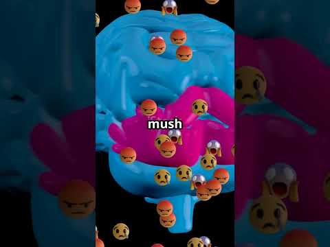 1080 BRAINTROT The Viral Word of 2024! 2025 06 12 #brainrot #shortvideo