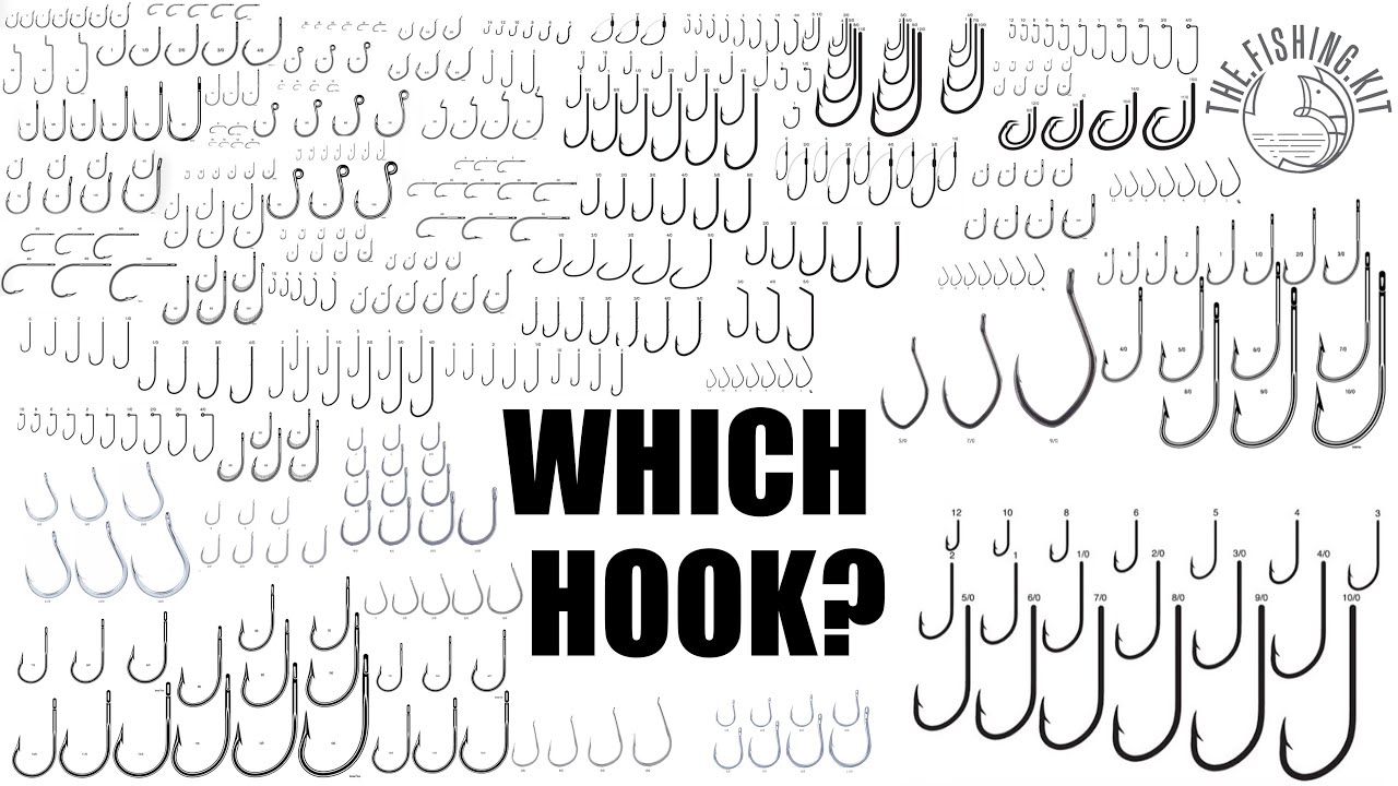 HOOK SHAPES - THE BEST ONES TO USE FOR YOUR FISHING