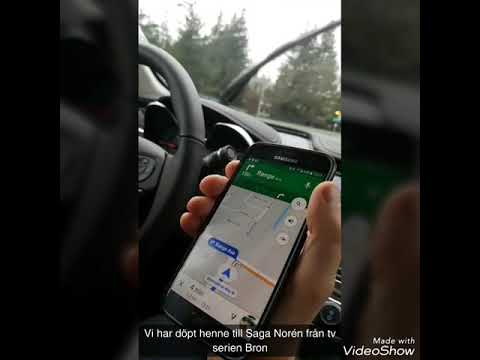Google maps voice sounds like Saga Norén in "The Bridge"