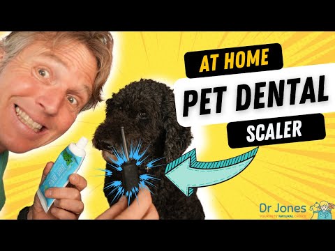 Dr. Jones Tries At Home Dental Scaler - Does It Work?