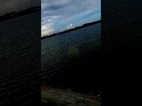 চোখ সেই জিনিসটা পছন্দ করে ||| New bangla whatsapp status ||| love_story