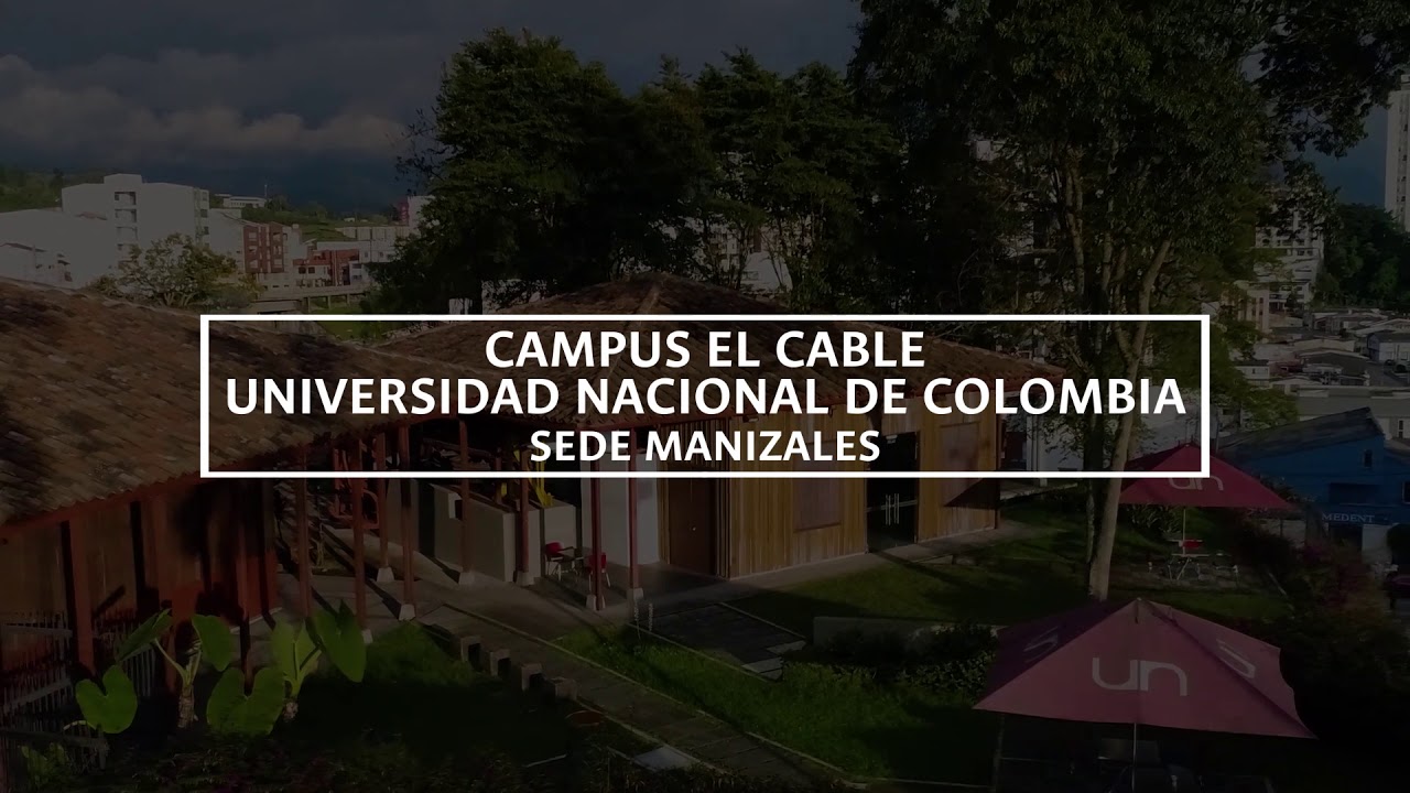El cable Café La Estación | Promo