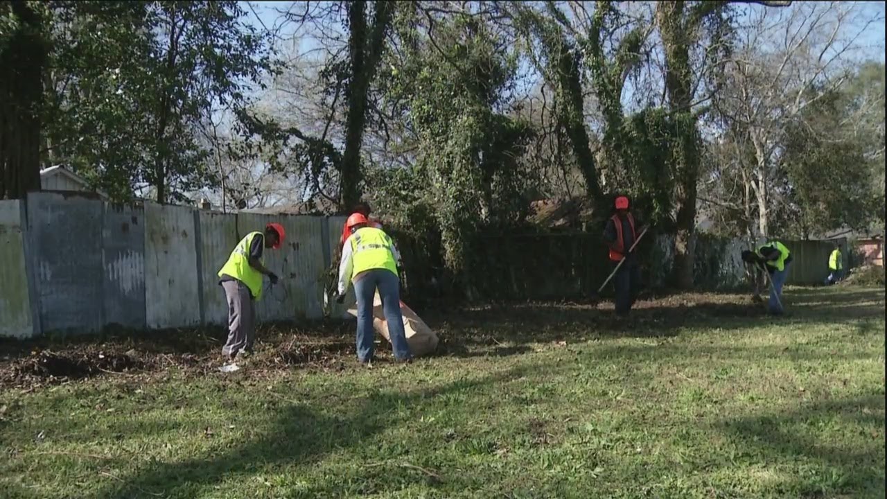 Urban nurseries being planted in Savannah