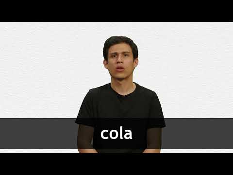 English Translation of “COLA” | Collins Spanish-English Dictionary