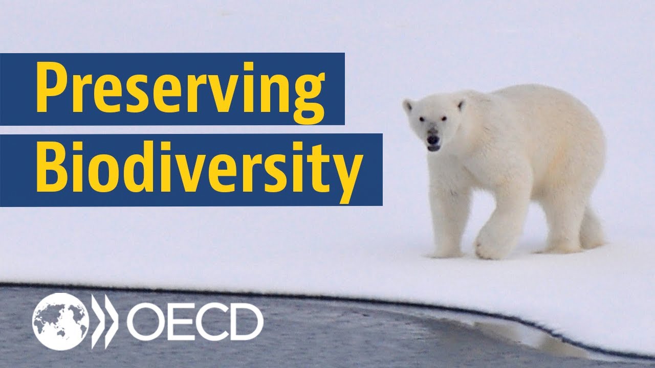 The battle for biodiversity in economic and development policy