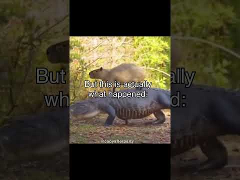 What happened after capy took the crocodile taxi #capybara #shorts