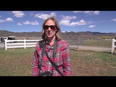 Meet “FarmHer” Jane Levene, of Salida, CO "Alpaca's Are Cool"