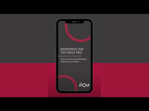 Application TGV INOUI PRO, Annulation d'un billet de train