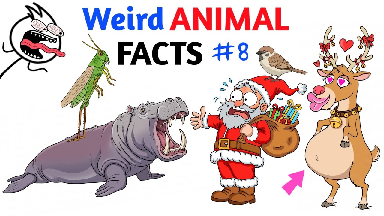 Weird Animal Facts You Never Knew - Part 8