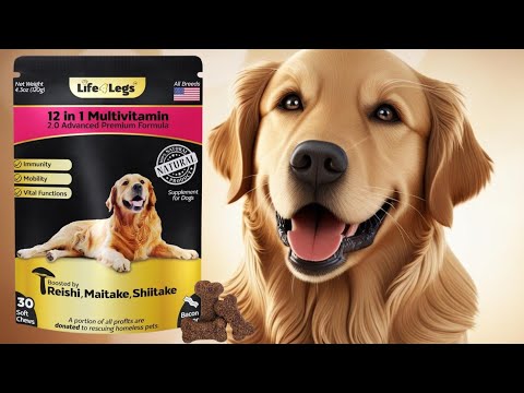 Life4Legs 12 in 1 Multivitamin for Dogs Made in the USA!