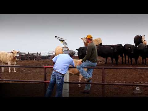 TWIG-V Wireless Automation System | Nelson Irrigation Australia