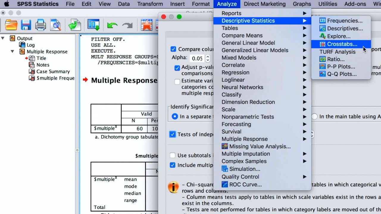 SPSS: How To Perform Quantitative Data Analyses For Bachelor's Research? 5 Basic Analysis Methods