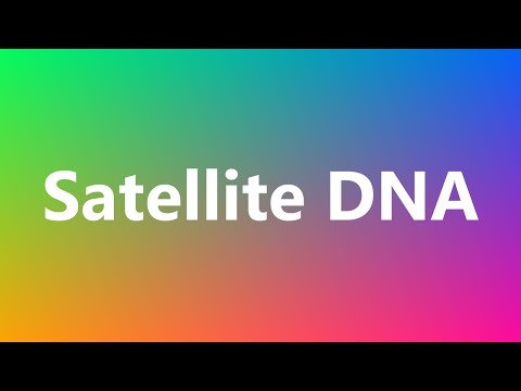 Satellite DNA - Medical Definition and Pronunciation