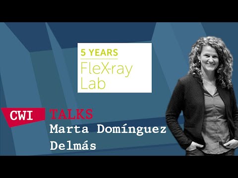 FleXRay Lab 5 years anniversary -  Marta Domínguez Delmás (19 May 2022)