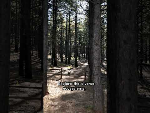 Exploring Coconino's Natural Wonders