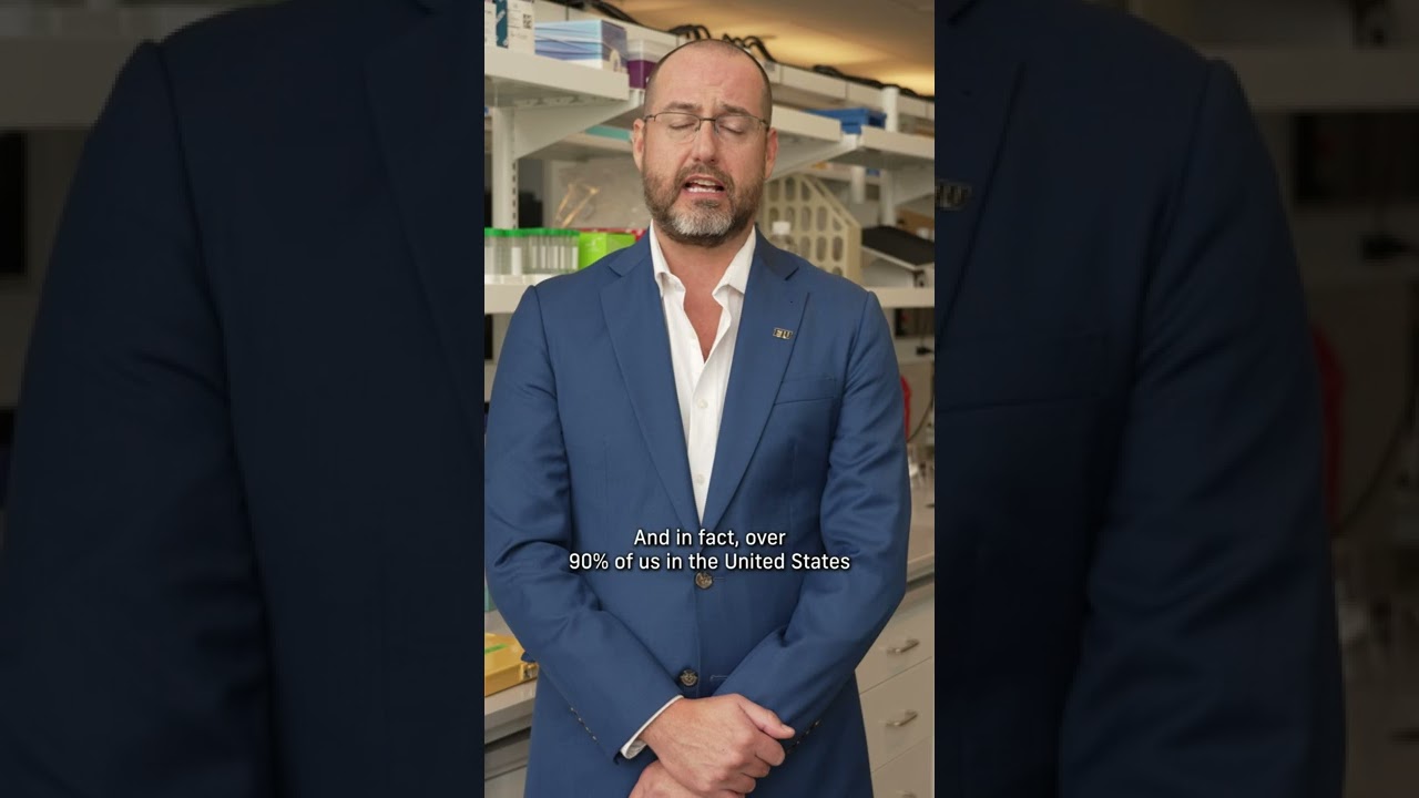 Researchers discover how pesticide DDT exposure contributes to Alzheimer’s disease