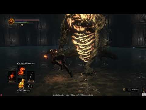 Steam Community :: Video :: Lv.1 Solo — Sulyvahn's Beast Duo — SL1 Dark ...