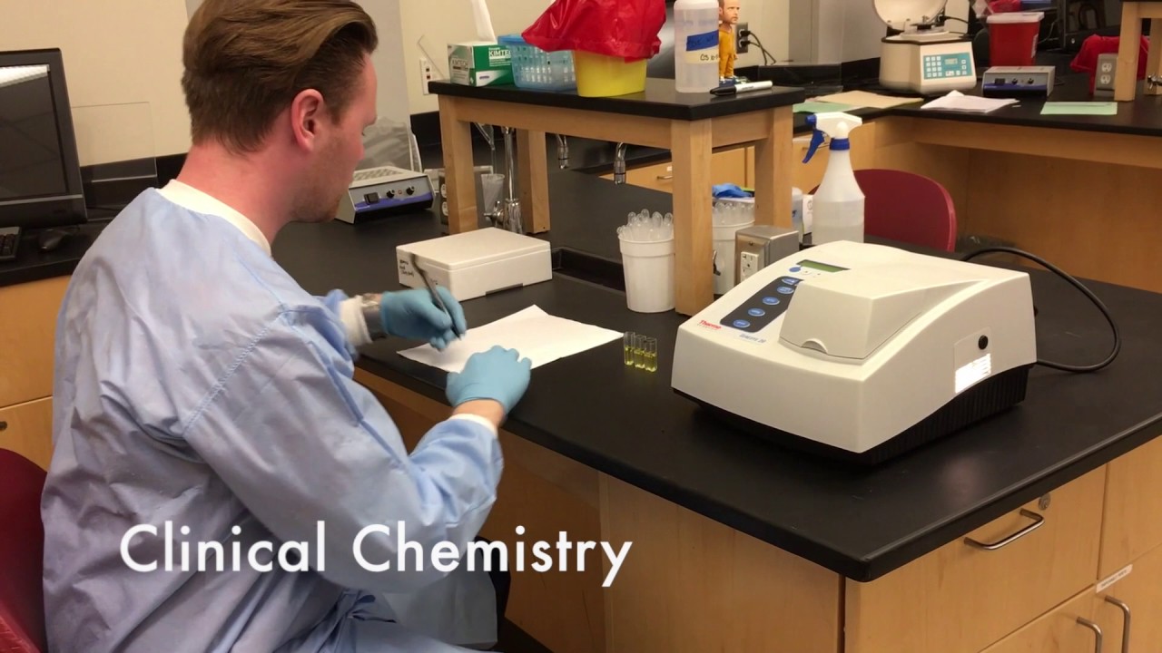 Medical Laboratory Science Program at SVSU