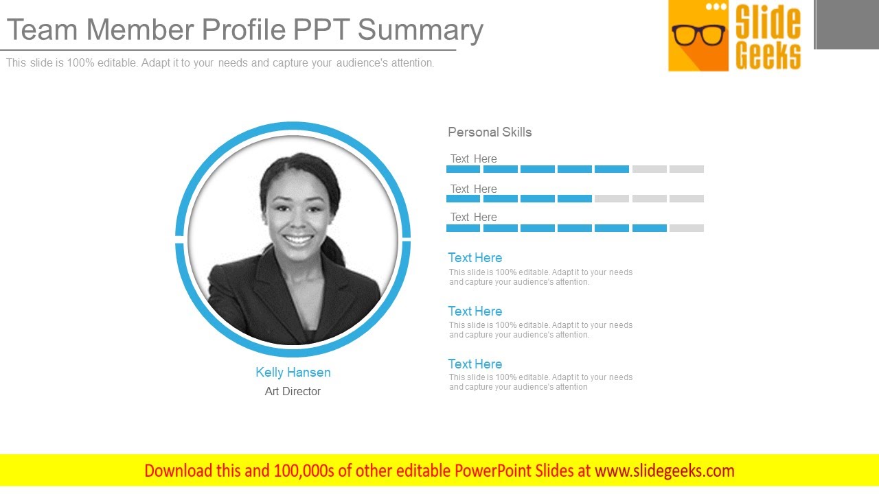 Team Member Profile Ppt Summary